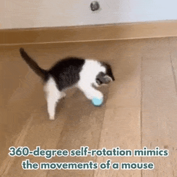 Cat Balls Gif