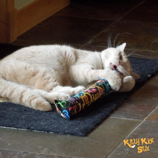 The Original Kitty Kick Stix Catnip Kicker Toy